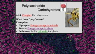 CP macromolecules 2019.pptx