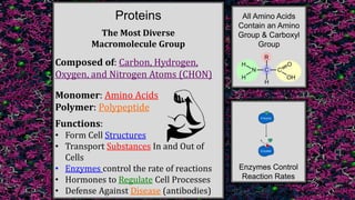 CP macromolecules 2019.pptx