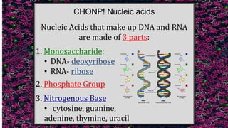 CP macromolecules 2019.pptx