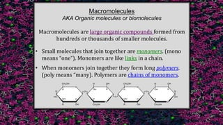 CP macromolecules 2019.pptx