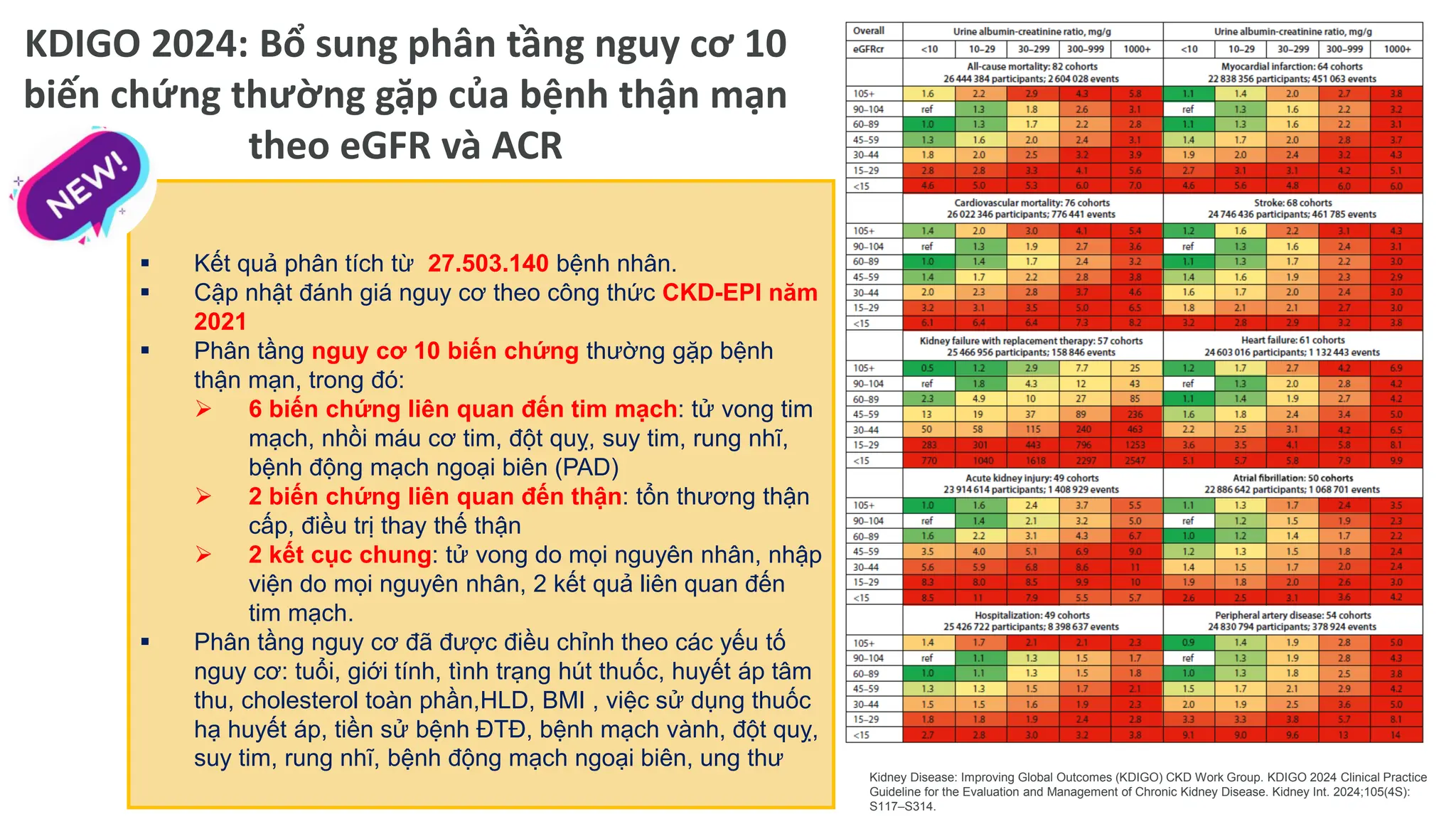 Cập nhật chẩn đoán và điều trị bệnh thận mạn theo KDIGO 2024.pdf