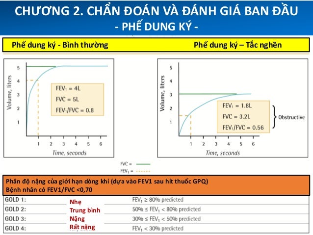 Cập nhật chẩn đoán và điều trị COPD theo GOLD 2017