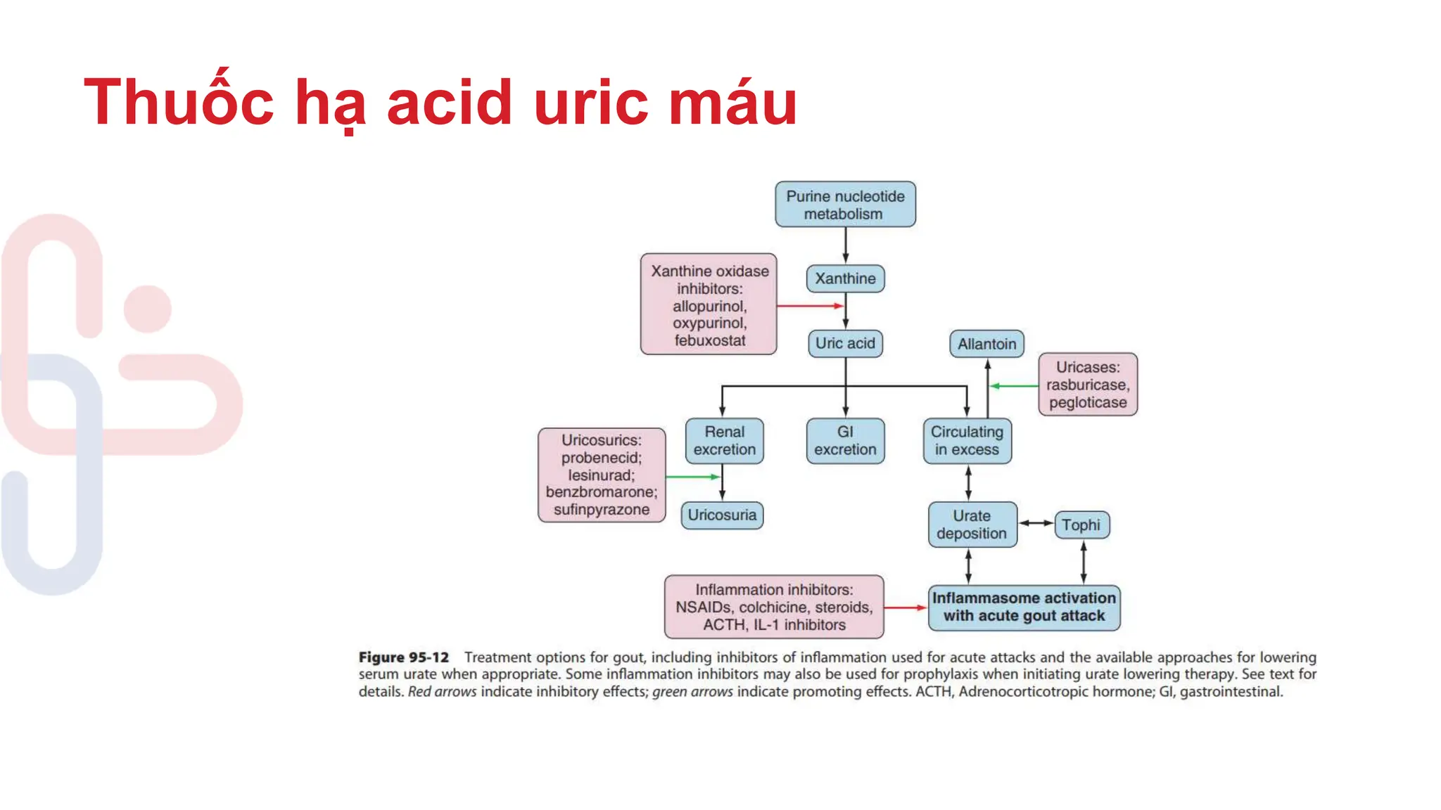 CẬP NHẬT GOUT NICE 2022.pptx