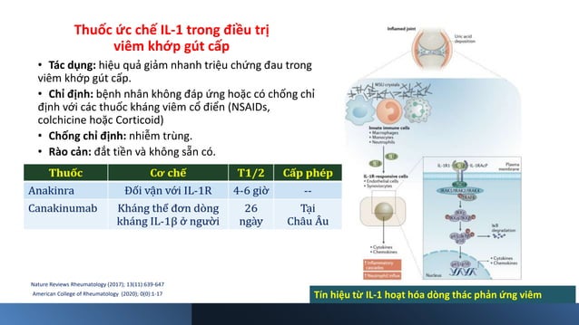 CẬP NHẬT GOUT NICE 2022.pptx