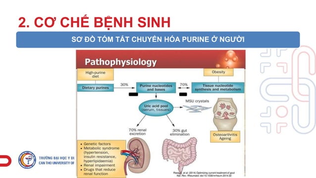 CẬP NHẬT GOUT NICE 2022.pptx