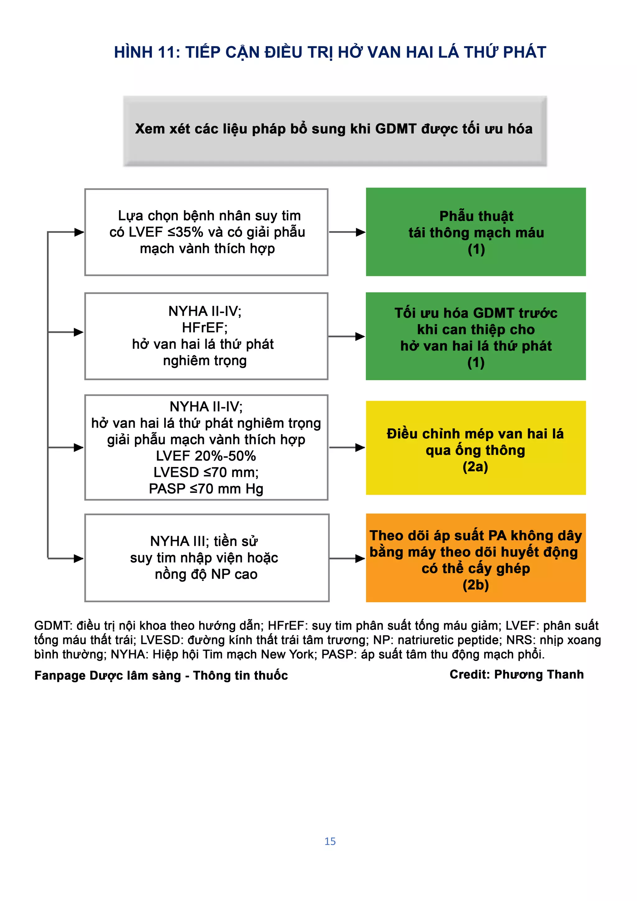 Cập nhật Suy tim 2022 (1).pdf