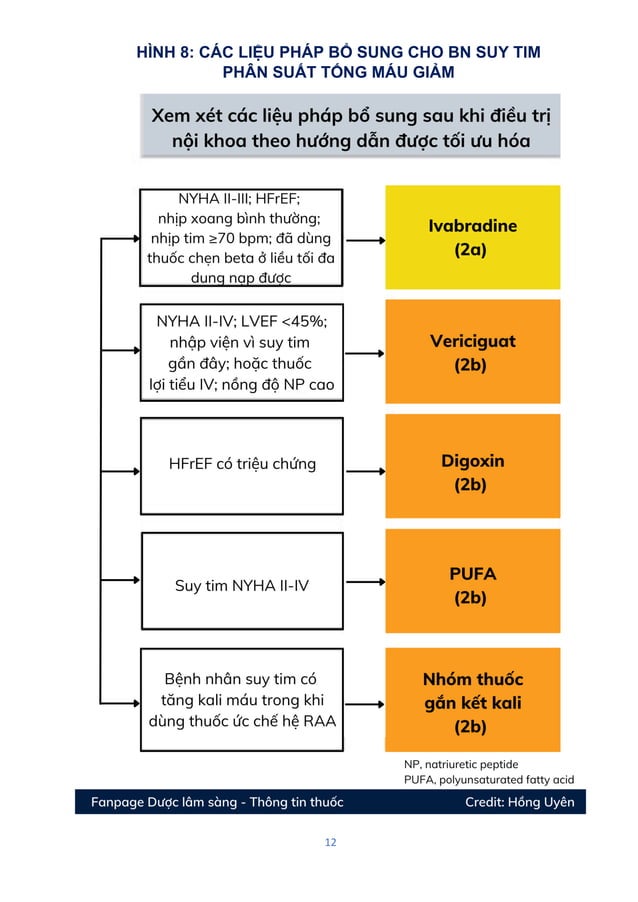 Cập nhật Suy tim 2022 (1).pdf