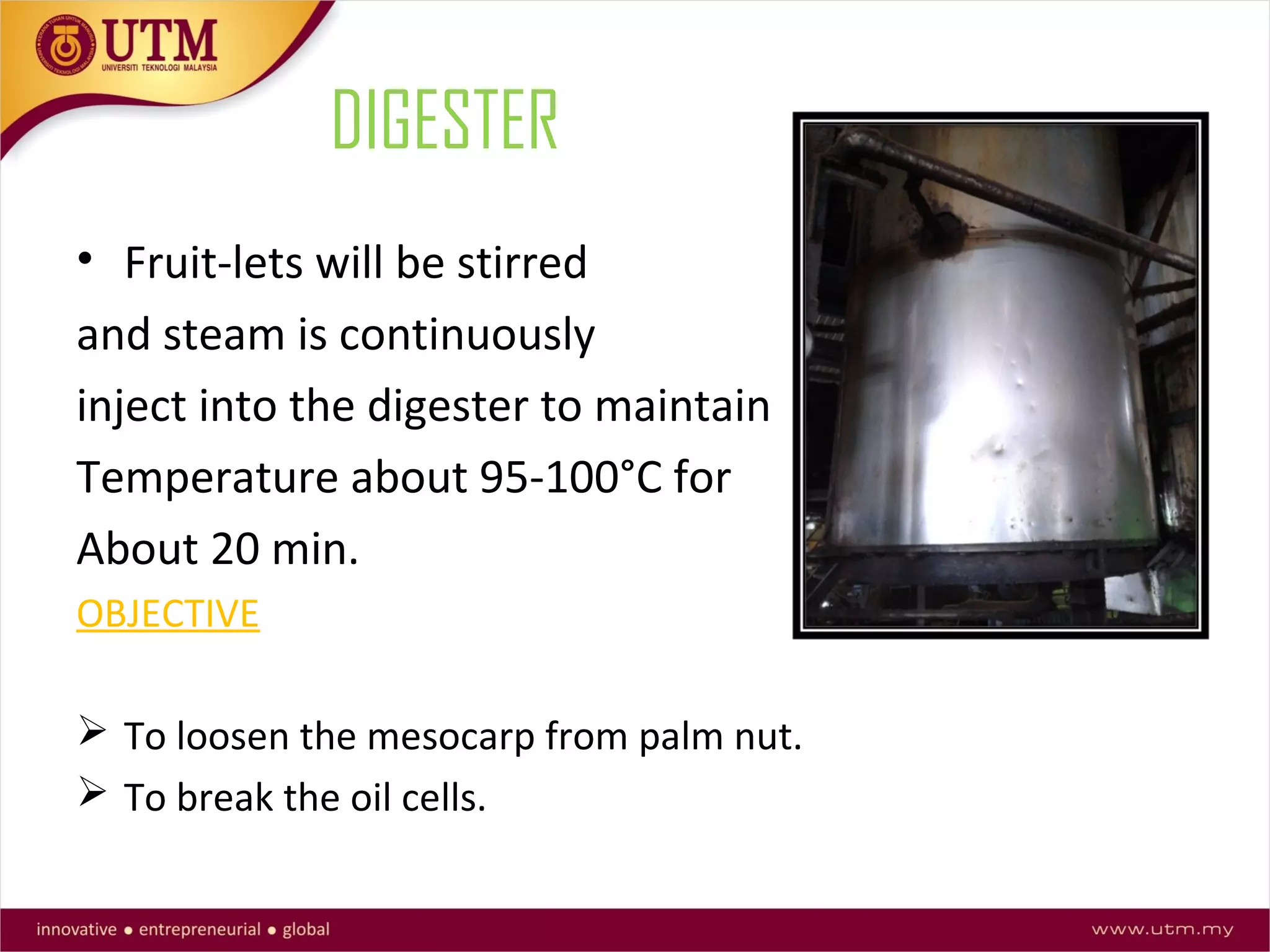 Processing Of Palm Oil | PPT