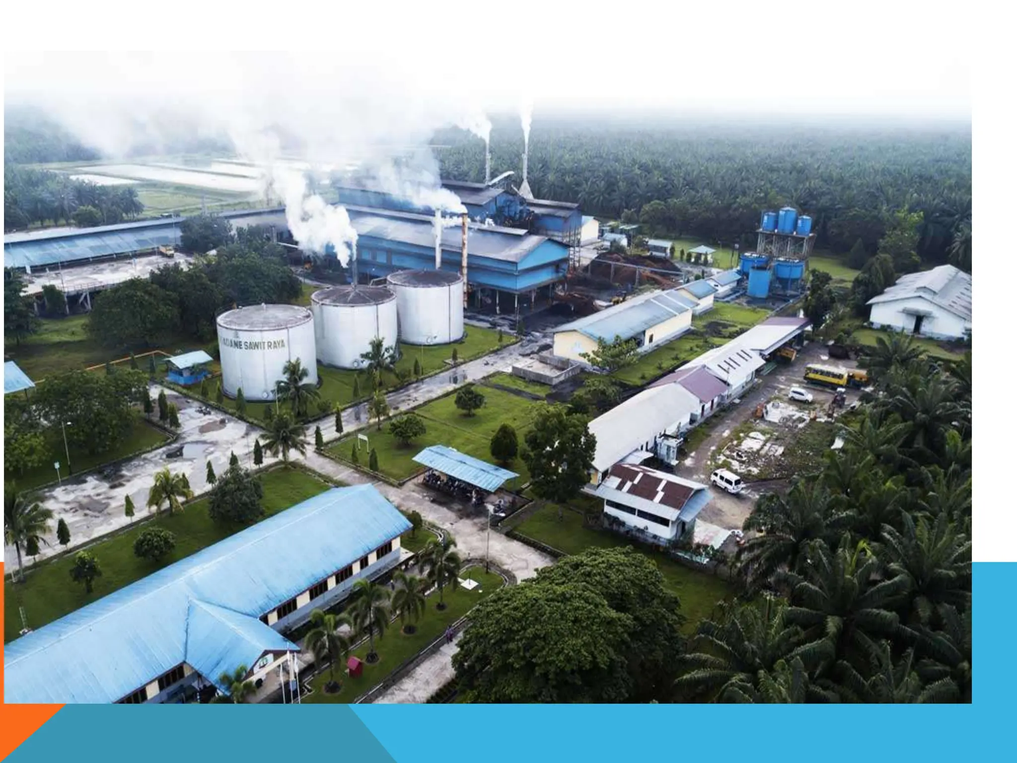 PEMBUATAN CRUDE PALM OIL SKALA LAB UNTUK PELAJARAN PIK SMK TEHNIK KIMIA ...
