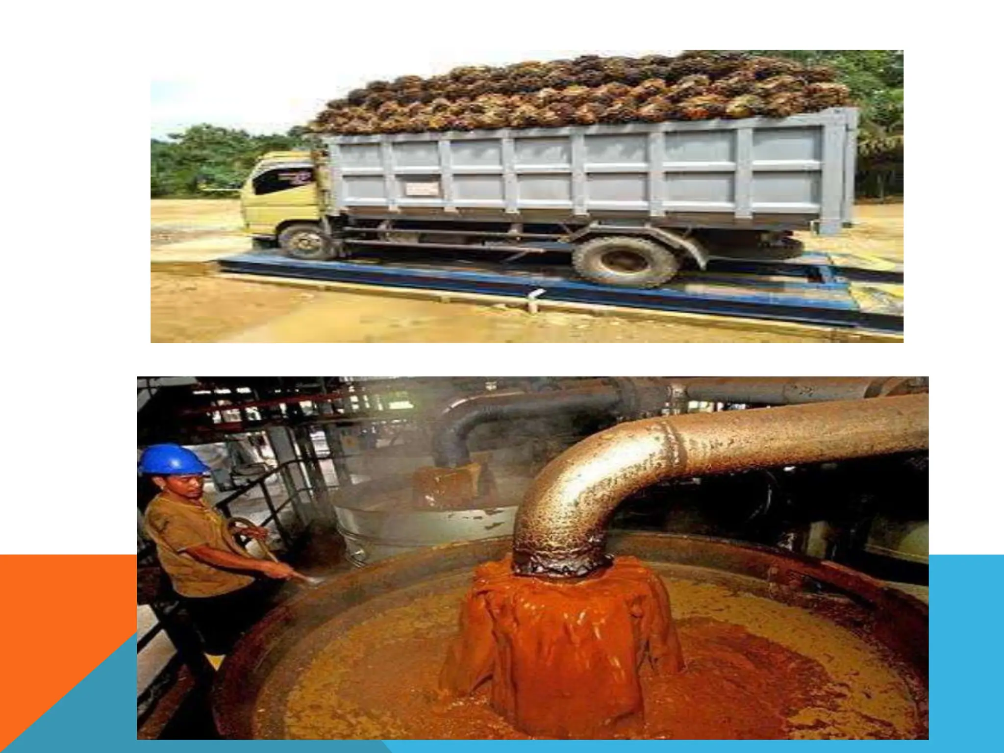 PEMBUATAN CRUDE PALM OIL SKALA LAB UNTUK PELAJARAN PIK SMK TEHNIK KIMIA ...