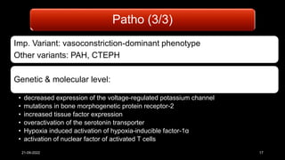 Clinical Pharmacology_of_Pulmonary_Hypertension | PPT