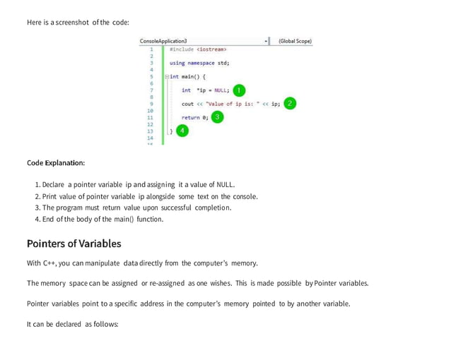 C++ Pointers with Examples.docx