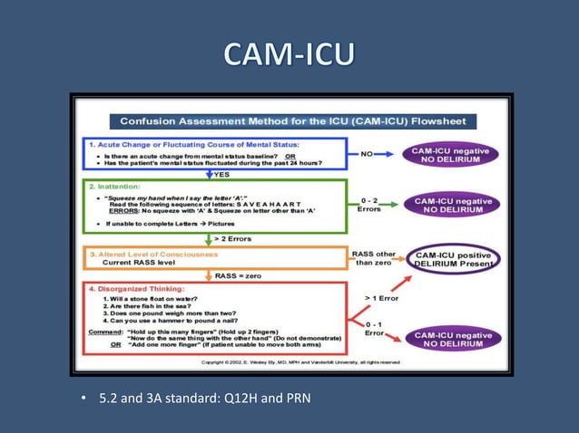 CPOT / RASS / CAM-ICU | PPTX | Brain and Nervous System Disorders ...