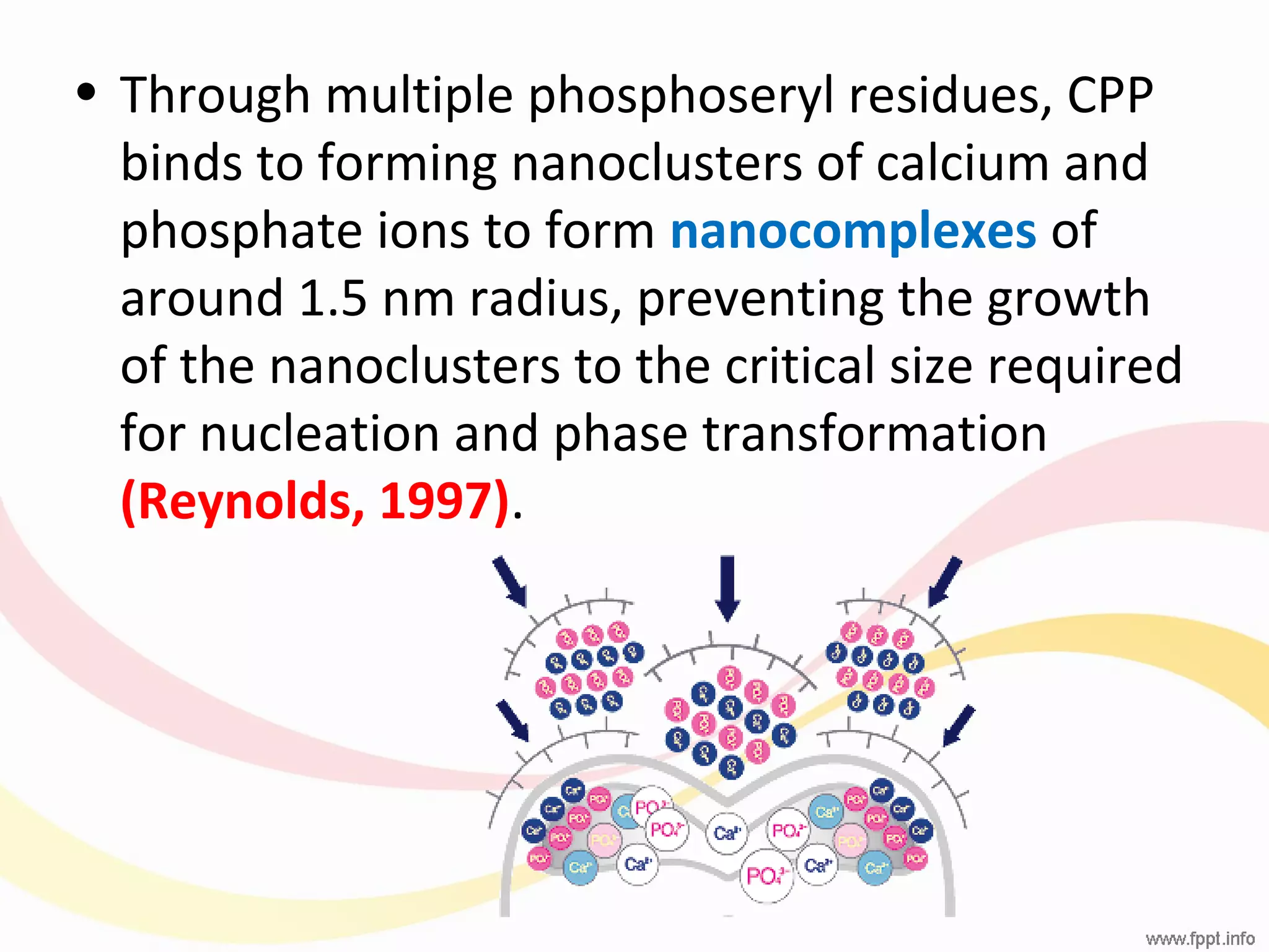 CPP- ACP - Casein Phospho Peptide-Amorphous Calcium Phosphate | PPT