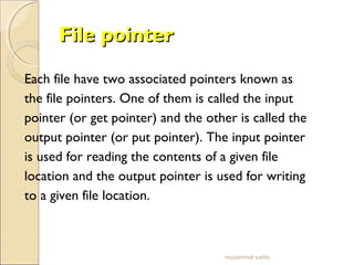 Cpp file-handling | PPT