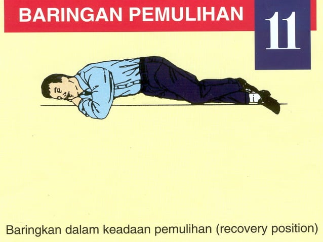 Bantuan CPR | PPT