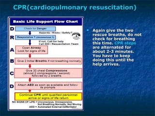 Cpr | PPT