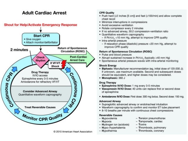 Cap cuu hoi suc tim phoi nang cao CPR 2013