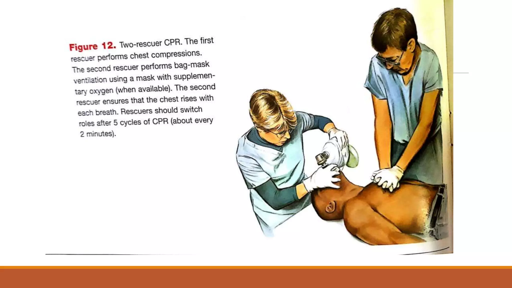 Cpr | PPT | Free Download