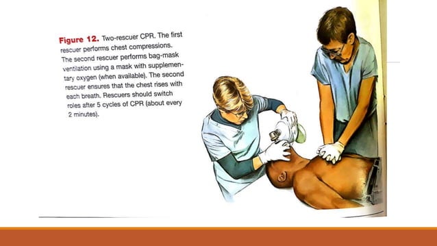 Cpr | PPT | Free Download