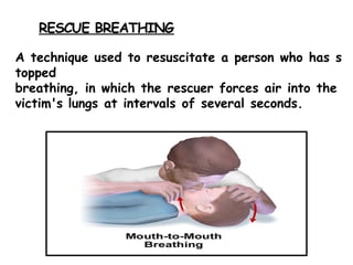 CPR Principles and Techniques, Proper patient handing | PPTX
