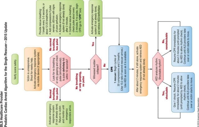 CPR.pptx | First Aid | Injuries