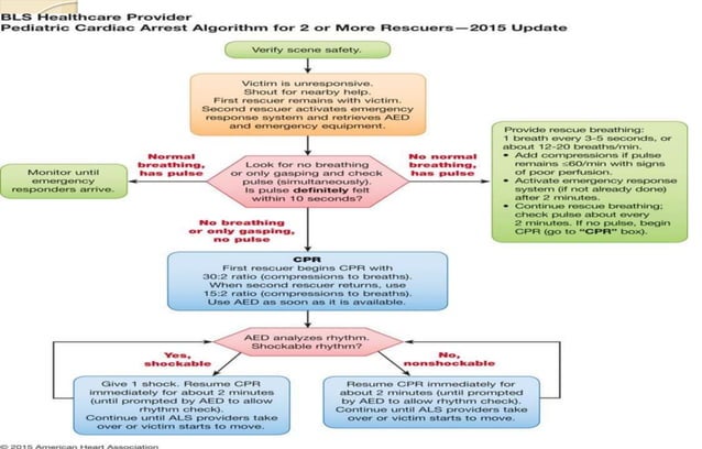 CPR.pptx | First Aid | Injuries