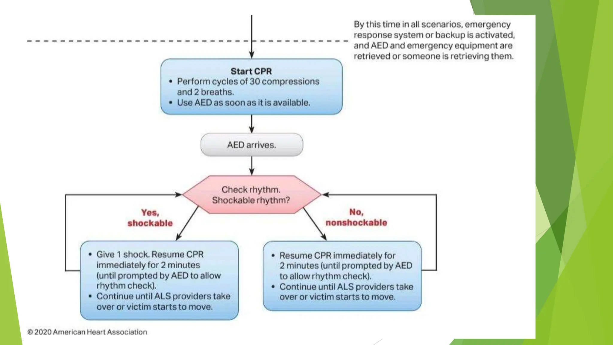 Introduction to CPR and it's importance.pptx