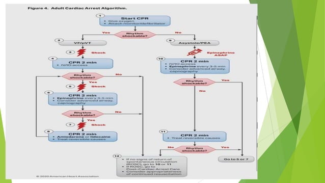 Introduction to CPR and it's importance.pptx | First Aid | Injuries