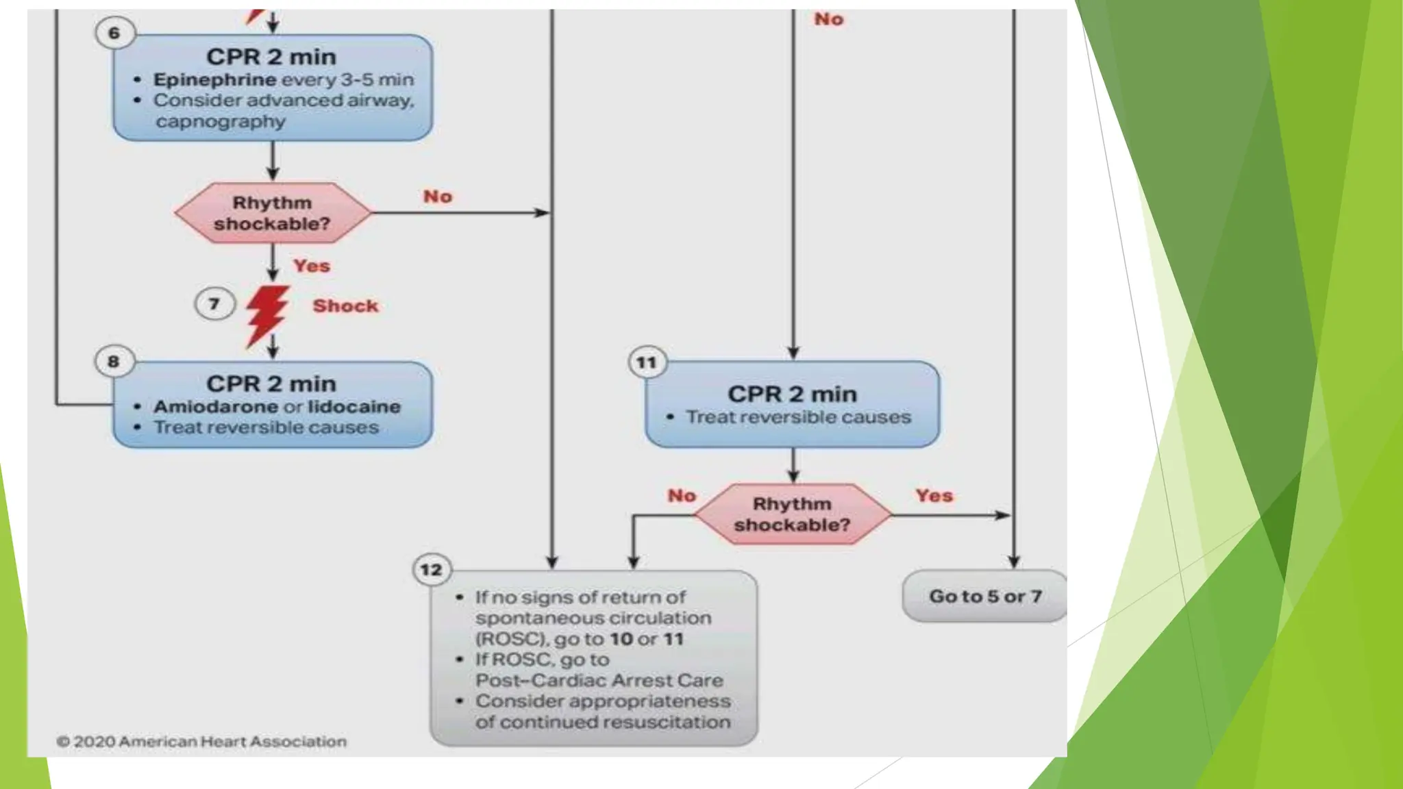 CPR introduction and mechanisms to do.pptx
