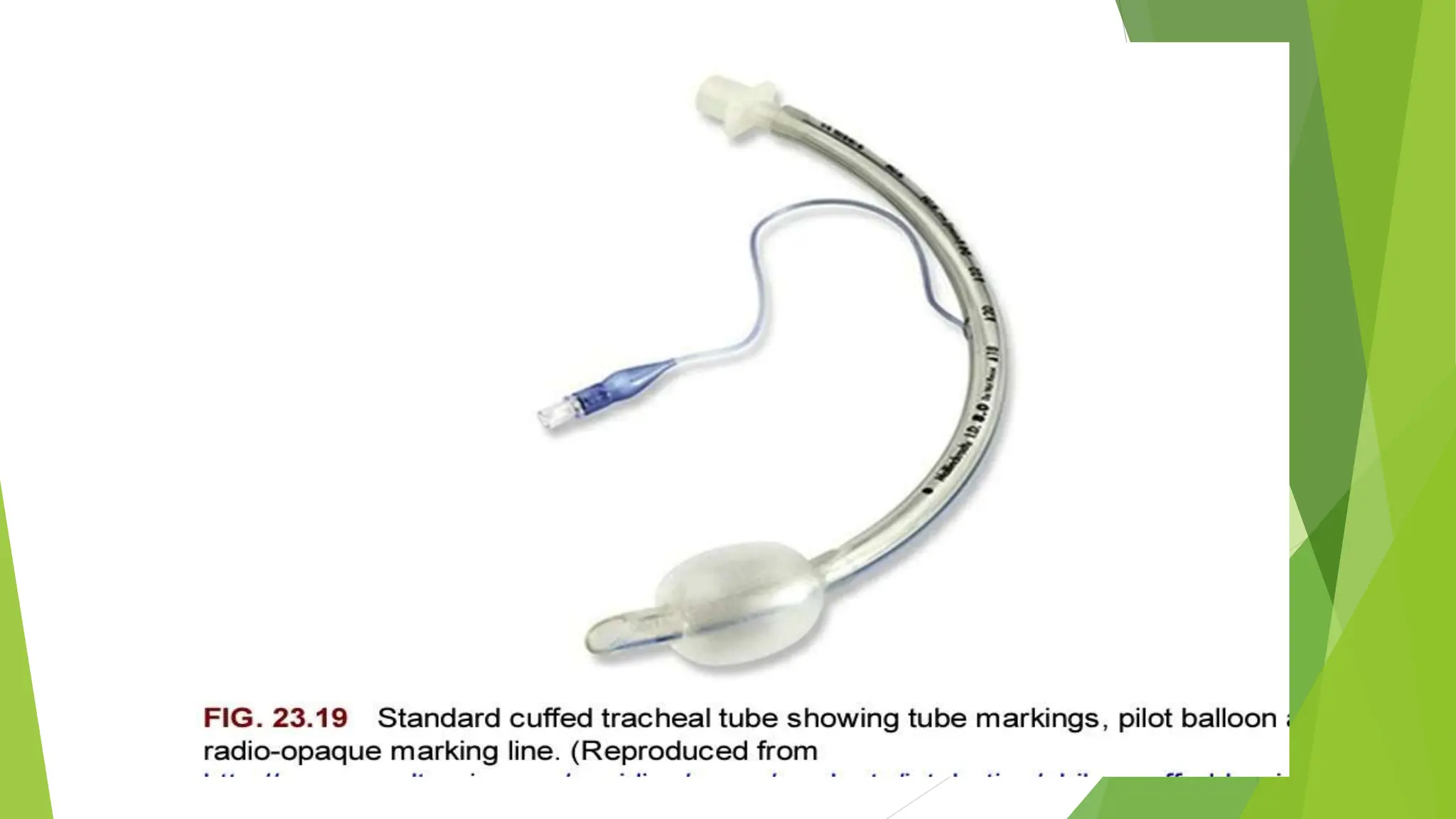 CPR introduction and mechanisms to do.pptx
