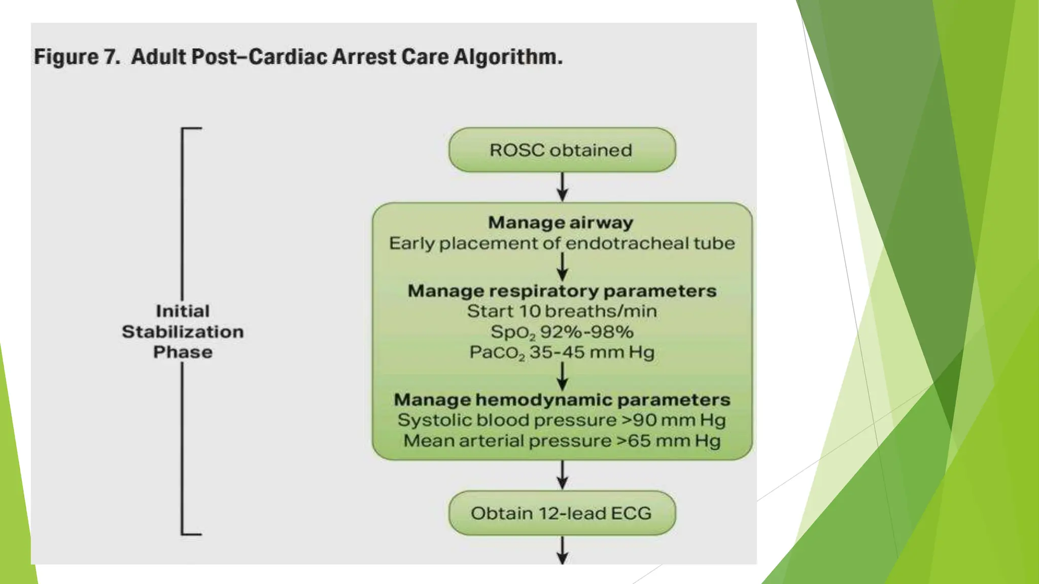 CPR introduction and mechanisms to do.pptx