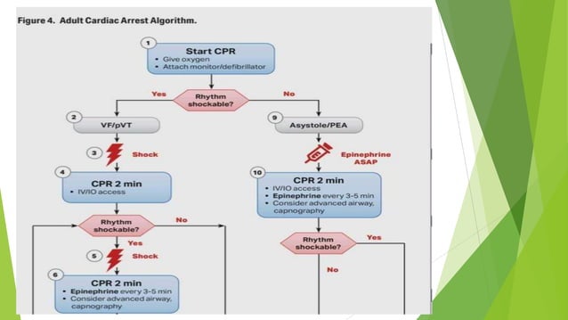 CPR introduction and mechanisms to do.pptx