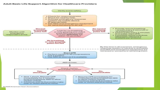 CPR introduction and mechanisms to do.pptx