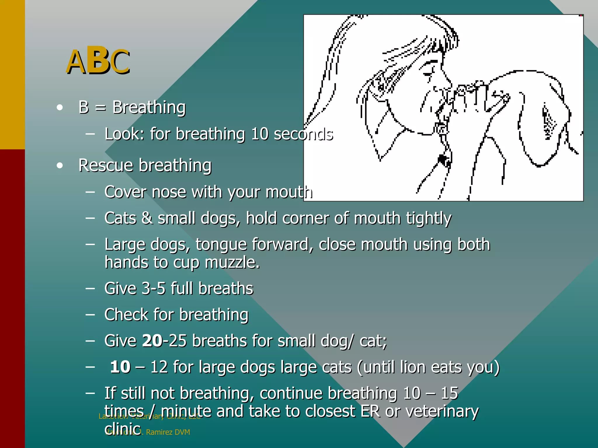CPR for dogs and cats | PPT