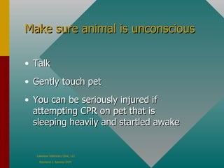 CPR for dogs and cats | PPT
