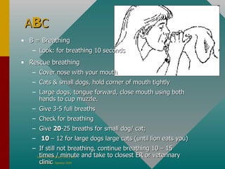 CPR for dogs and cats | PPT