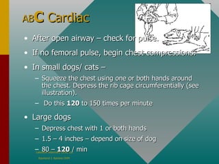 CPR for dogs and cats | PPT