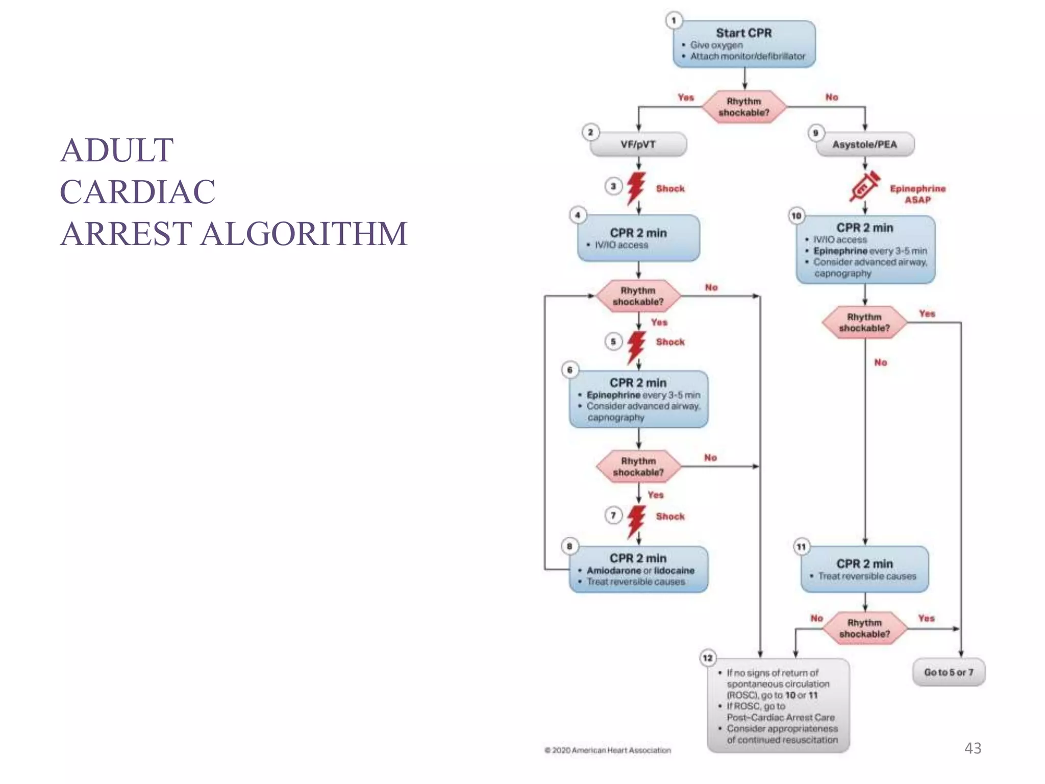 CARDIOPULMONARY RESUSCITATION- BLS & ACLS-2020 AHA UPDATE | PPT
