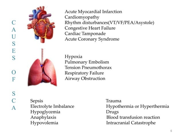 CARDIOPULMONARY RESUSCITATION- BLS & ACLS-2020 AHA UPDATE | PPT