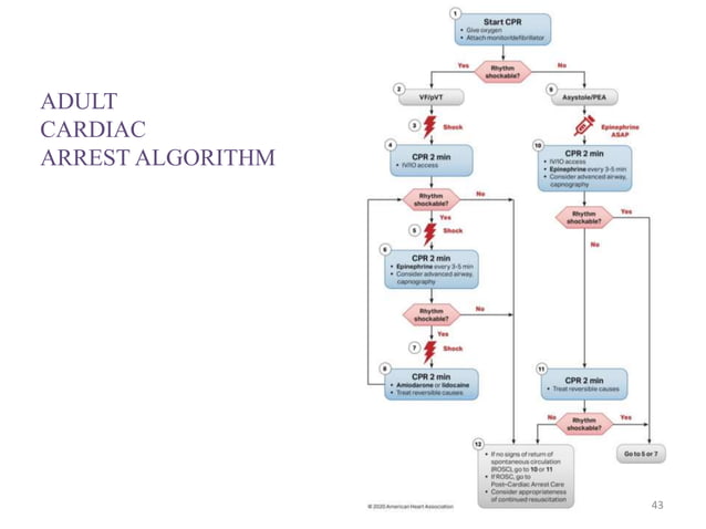 CPR: CARDIOPULMONARY RESUSCITATION- BLS & ACLS-2020 AHA UPDATE | PPTX ...