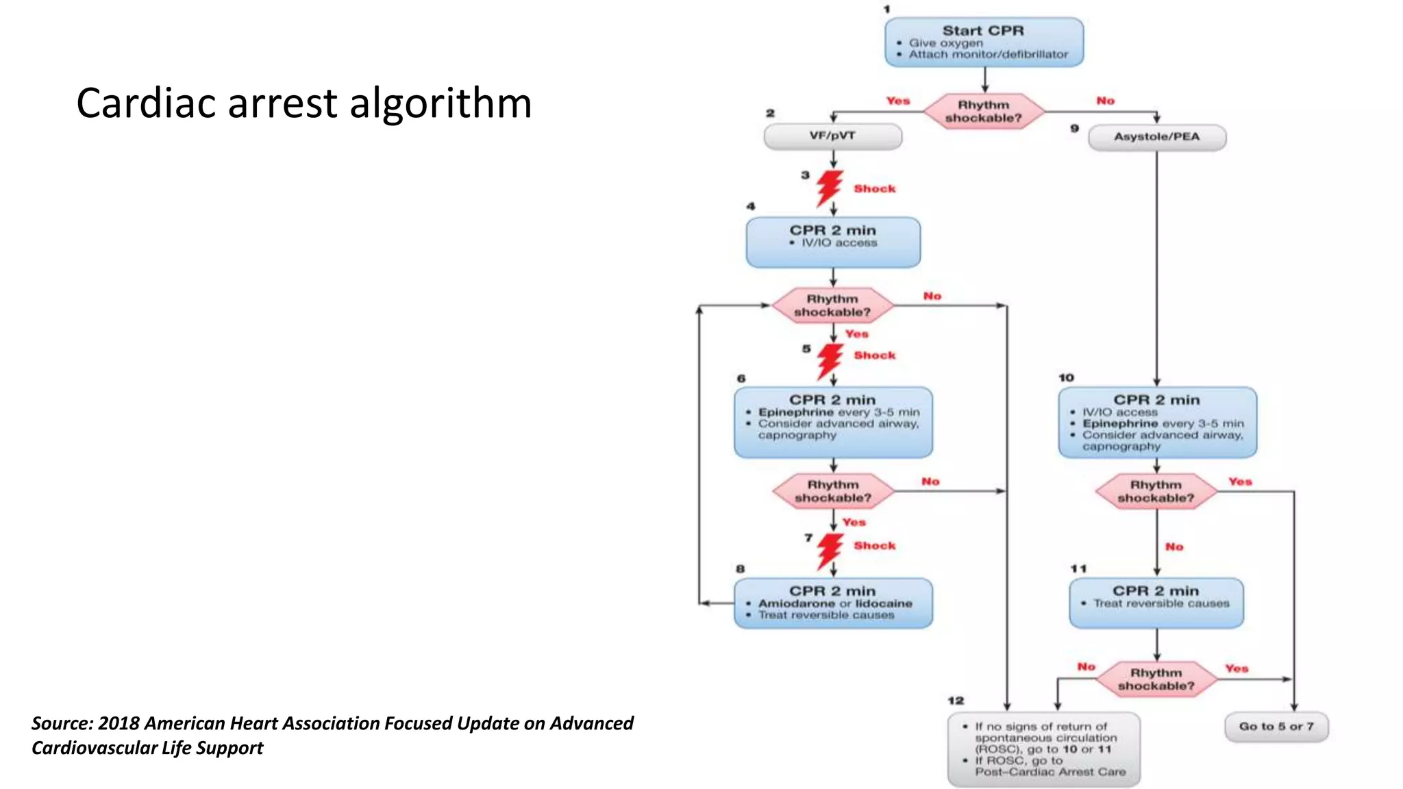 Cpr drugs and monitoring of basic parameters during | PPT
