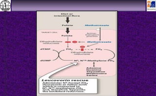 Case Presentation on Methotrexate Induced bone marrow suppression | PPTX