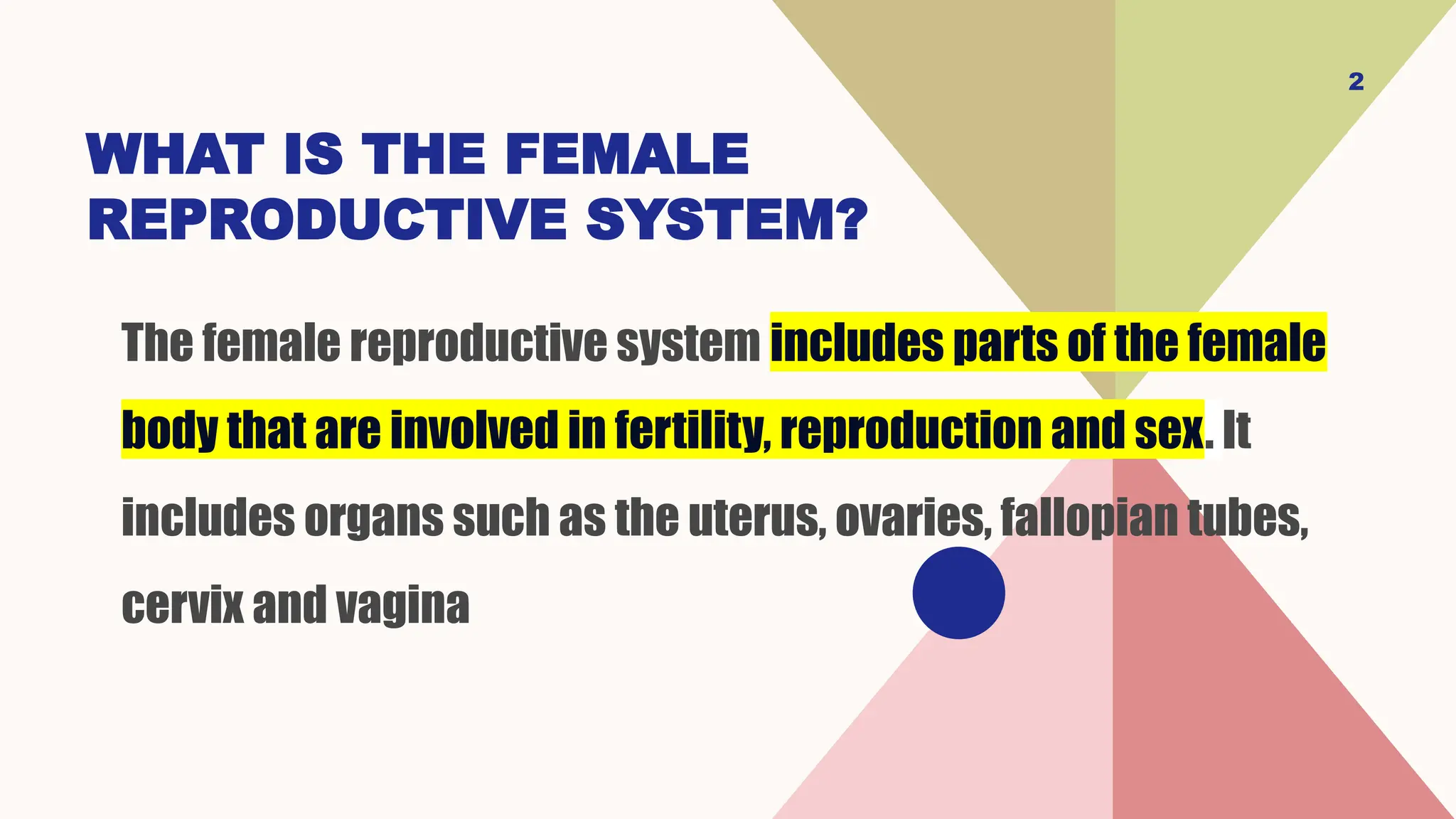Female Reproductive System Grade 10 - PPT | PPTX
