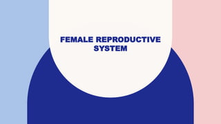 Female Reproductive System Grade 10 - PPT | PPTX
