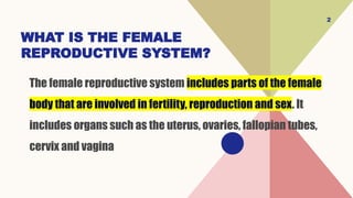 Female Reproductive System Grade 10 - PPT | PPTX
