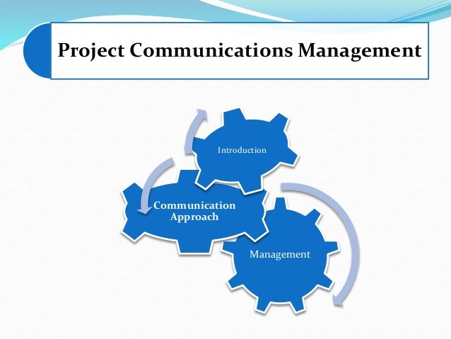 Cricket Management System