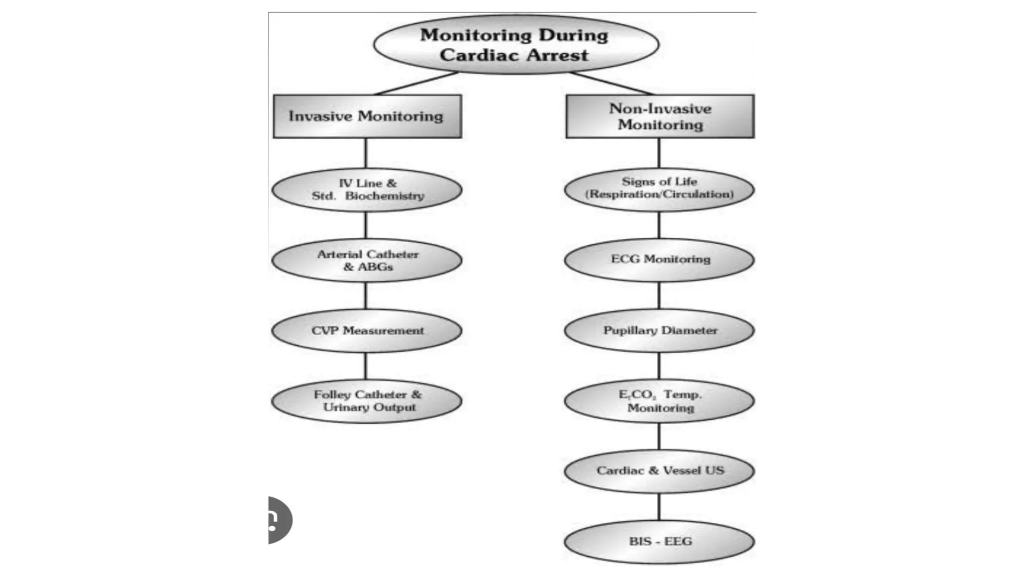 Cardiac pulmonary resuscitation in humans | PPTX | First Aid | Injuries