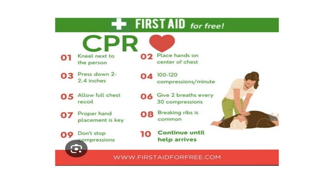 Cardiac pulmonary resuscitation in humans | PPT