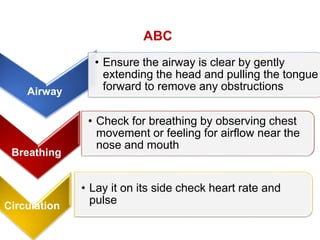 CPR for Dogs - essential first aid in canine emergency | PPTX